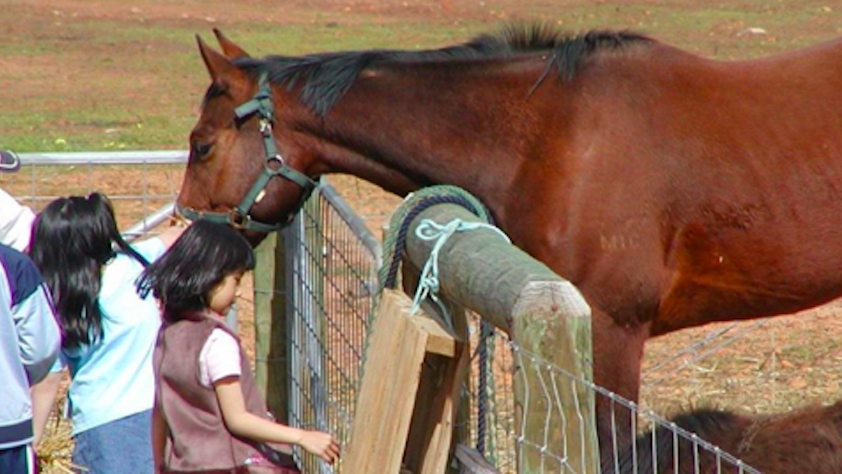 Five amazing farmstay experiences for a weekend in and around the ...